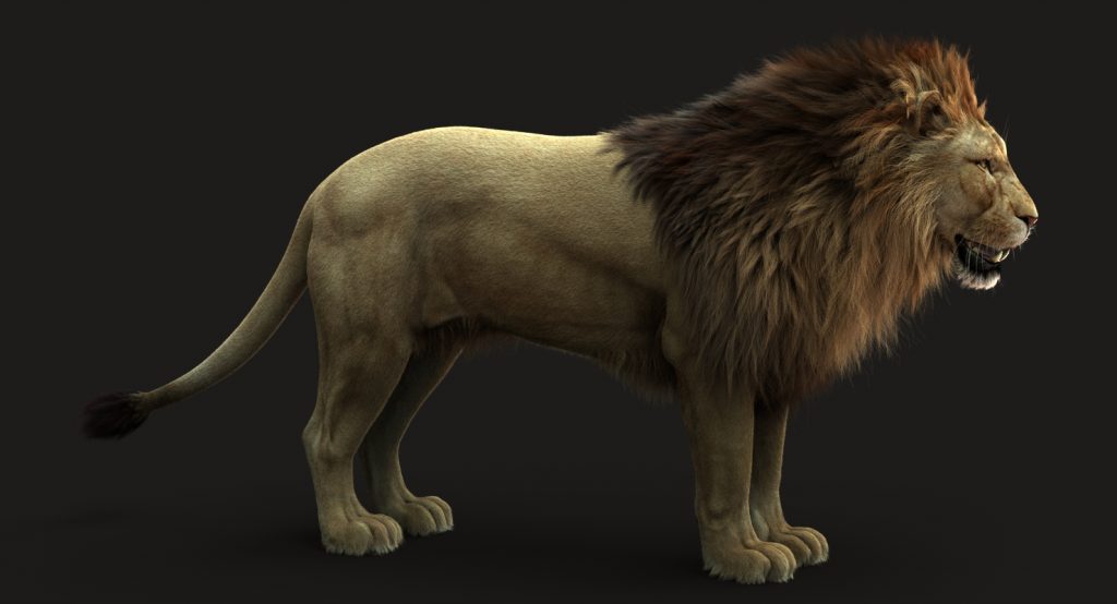 Buy LION 3D Models Online | Lion 3D Models for Download