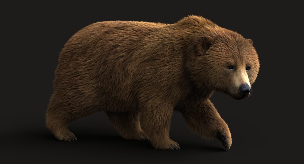 Buy BROWN BEAR 3D Models Online | 3D Brown-Bear Models
