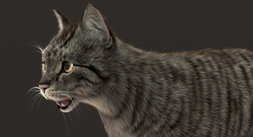 Cat 3D Models for Download | Buy CAT 3D Models Online