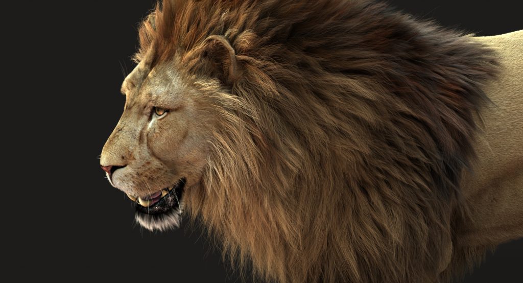 Buy LION 3D Models Online | Lion 3D Models for Download