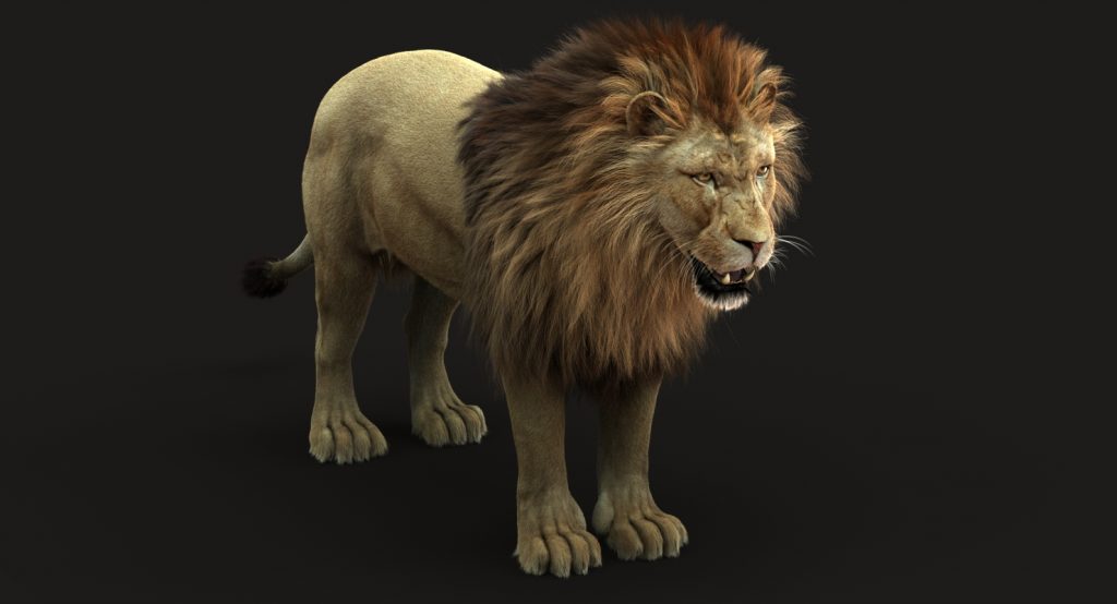 Buy LION 3D Models Online | Lion 3D Models for Download