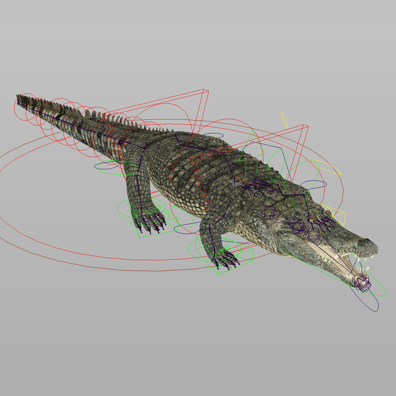 Buy CROCODILE (RIGGED) 3D Models Online | Massimo Righi