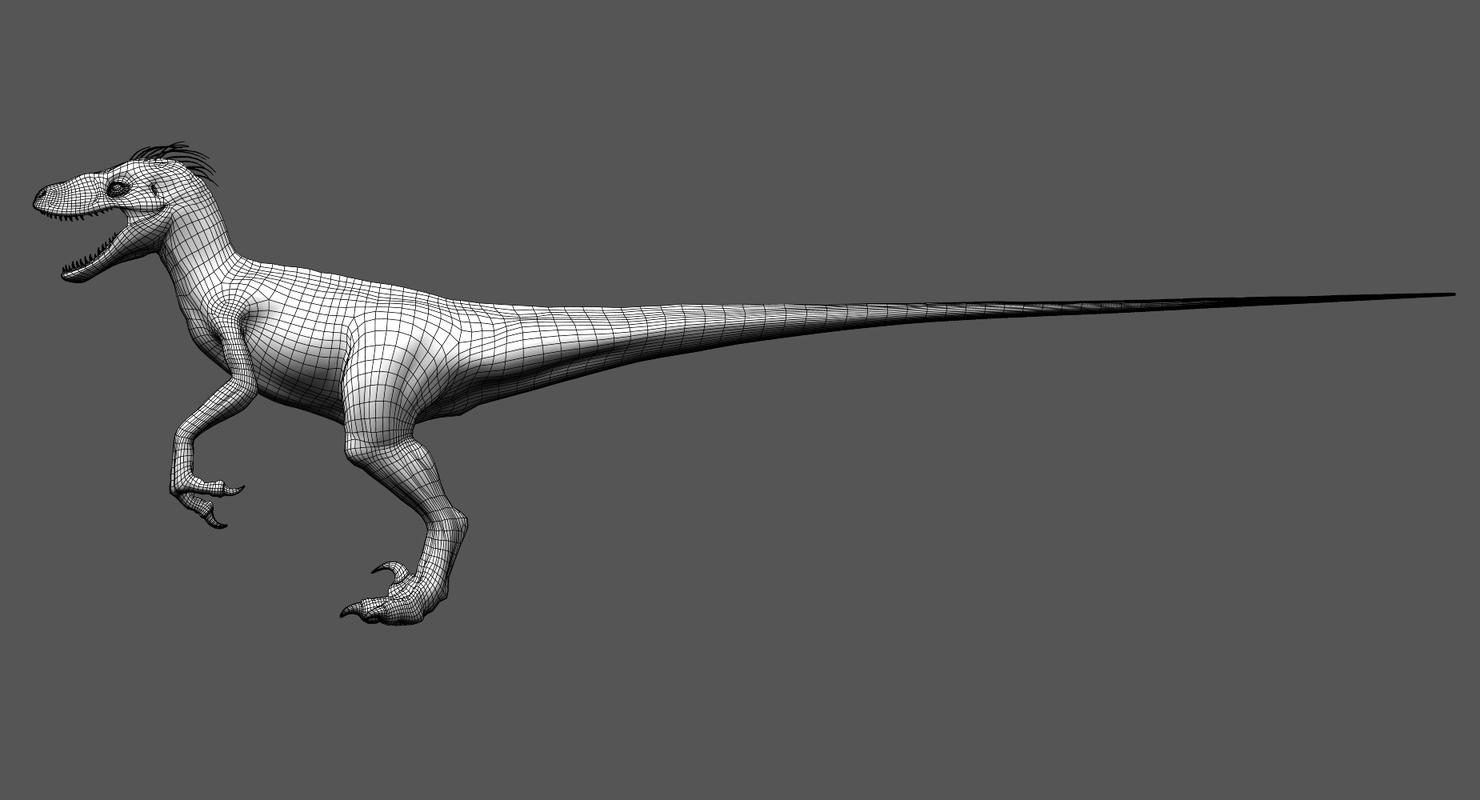 Buy VELOCIRAPTOR (2) (RIGGED) 3D Models Online | Massimo Righi