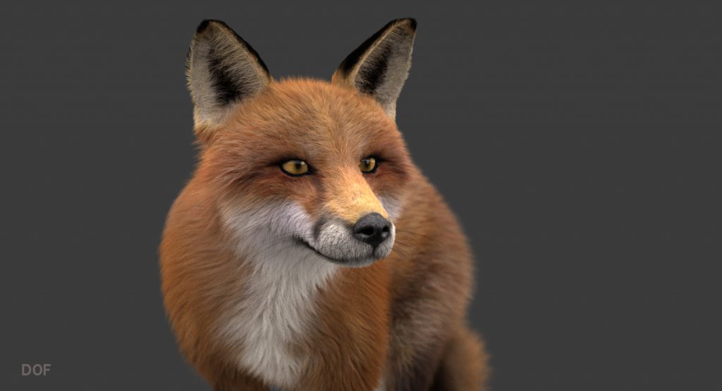 Buy Fox 3D Models Online | Fox 3D Models Download | Massimo Righi
