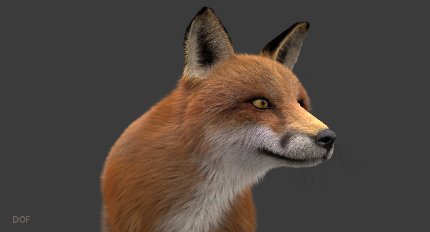 Buy Fox 3D Models Online | Fox 3D Models Download | Massimo Righi
