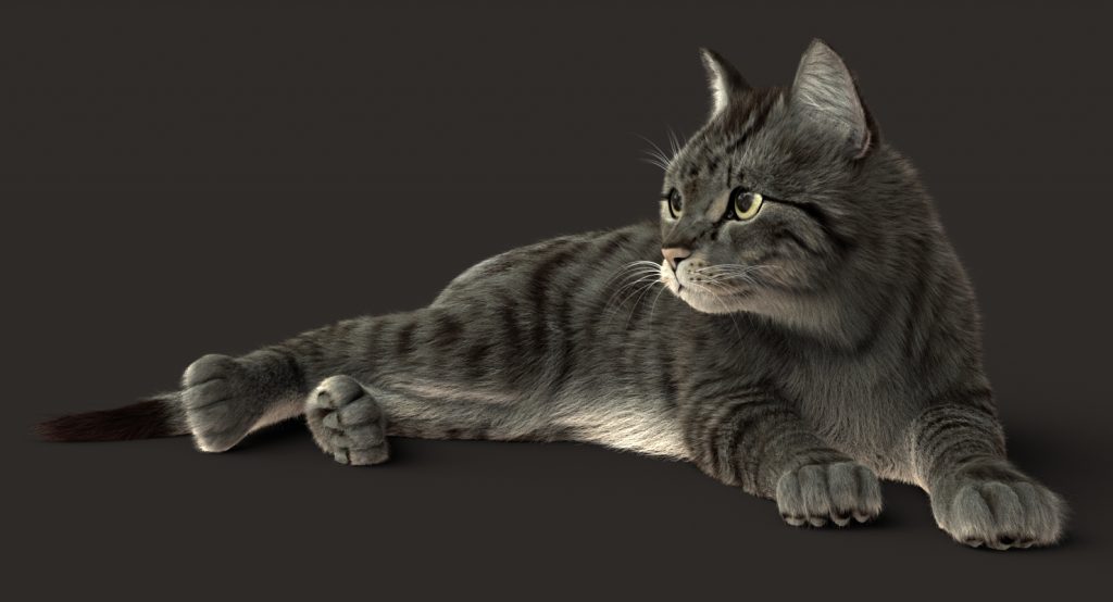 Cat 3D Models for Download | Buy CAT 3D Models Online