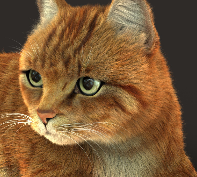 Buy CAT (ORANGE TABBY) (FUR) (ANIMATED) 3D Models Online