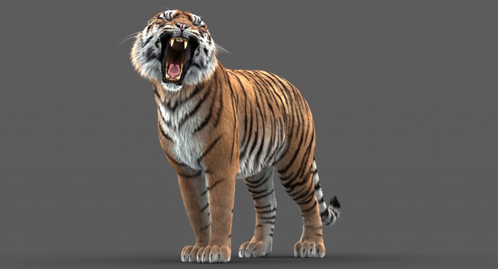 Tiger Updated asset - Massimo Righi