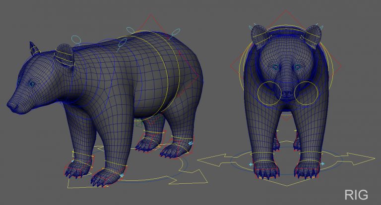 Black Bear 3D Models for Download | Buy Black Bear 3D Models Online