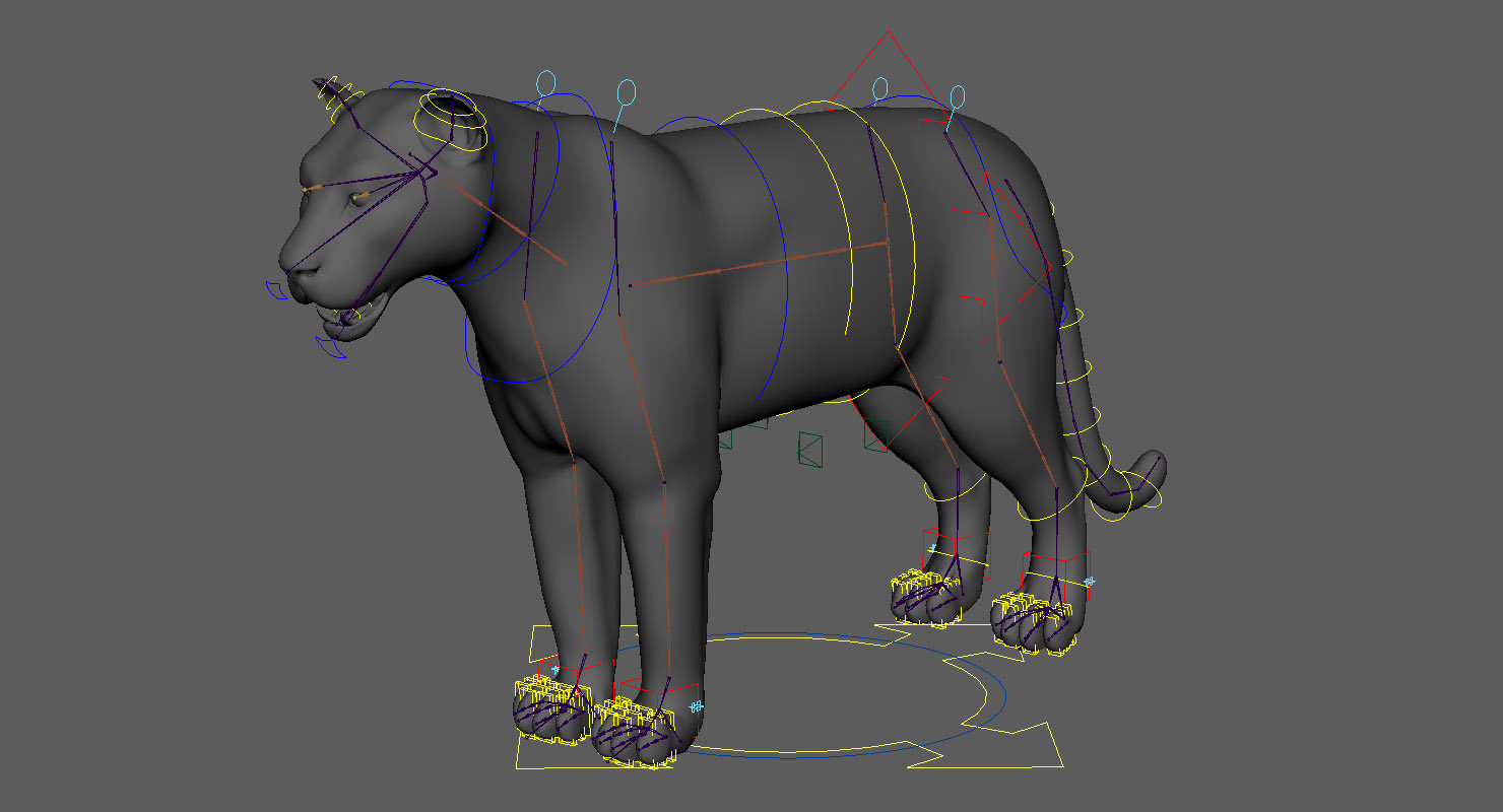 Buy TIGER (FUR) (RIGGED) 3D Models Online | Massimo Righi