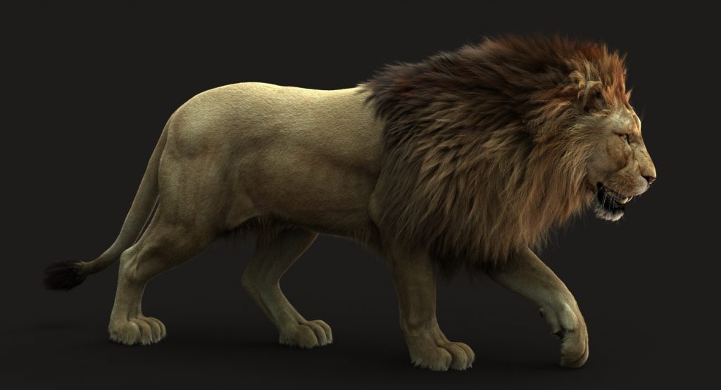 Buy LION 3D Models Online | Lion 3D Models for Download