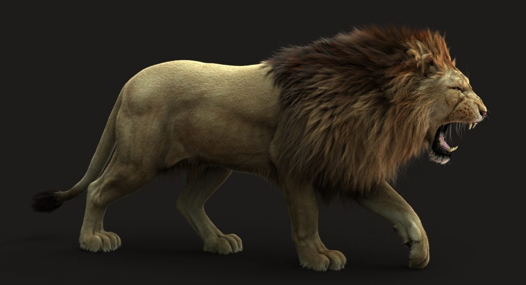 Buy LION 3D Models Online | Lion 3D Models for Download
