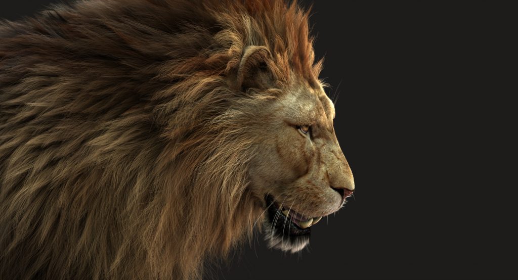 Buy LION 3D Models Online | Lion 3D Models for Download
