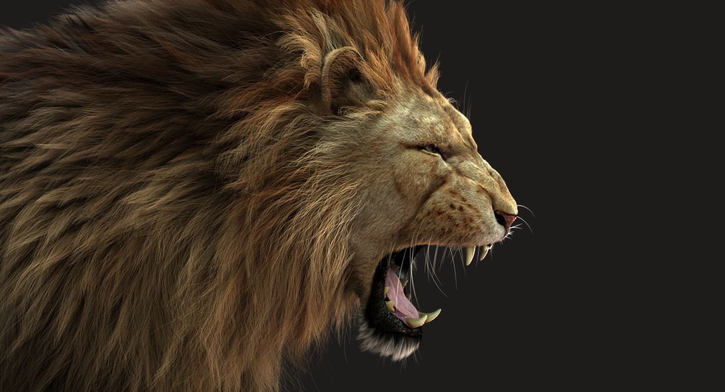 Buy LION (FUR) (RIGGED) 3D Models Online | Massimo Righi