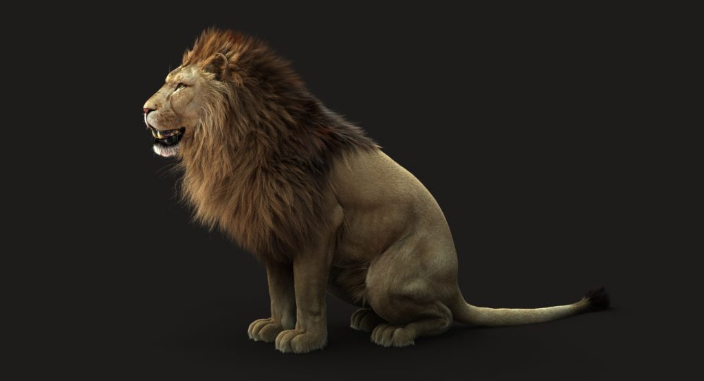 Buy LION 3D Models Online | Lion 3D Models for Download
