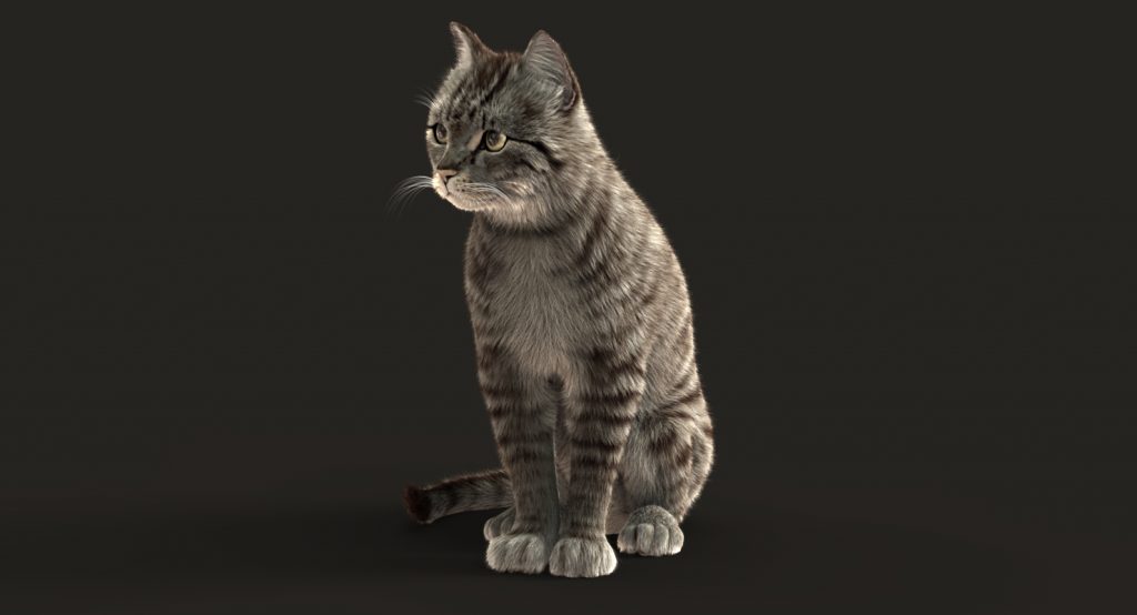 Cat 3D Models for Download | Buy CAT 3D Models Online