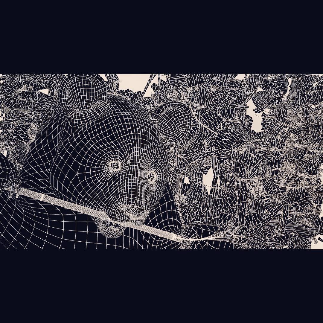 Panda test - Massimo Righi