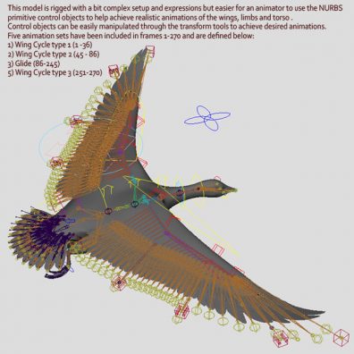 Buy GOOSE (ANIMATED) 3D Models Online | Massimo Righi