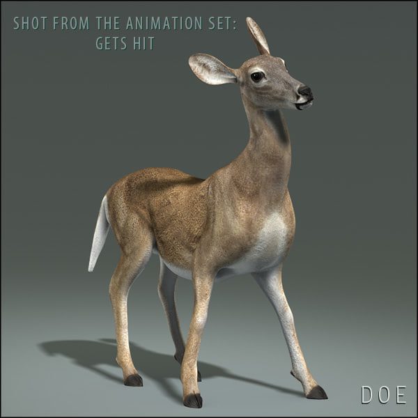 Buy DOE (ANIMATED) 3D Models Online | Massimo Righi