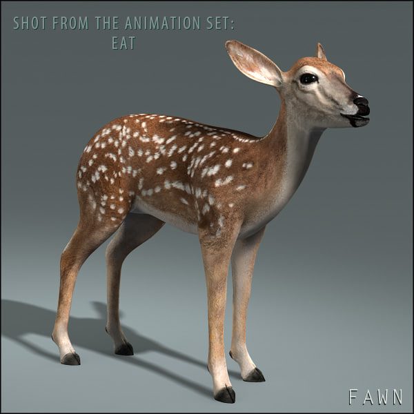 Buy FAWN (ANIMATED) 3D Models Online | Massimo Righi
