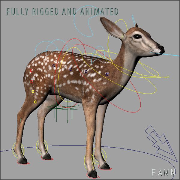 Buy DEER FAMILY (ANIMATED) 3D Models Online | Massimo Righi