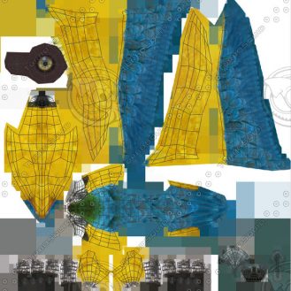 Buy MACAW (ANIMATED) 3D Models Online | Massimo Righi