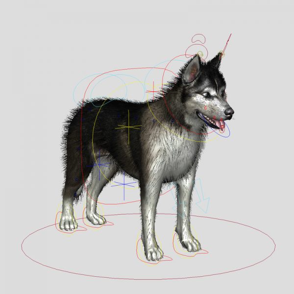 Buy SIBERIAN HUSKY (FUR) (ANIMATED) 3D Models Online