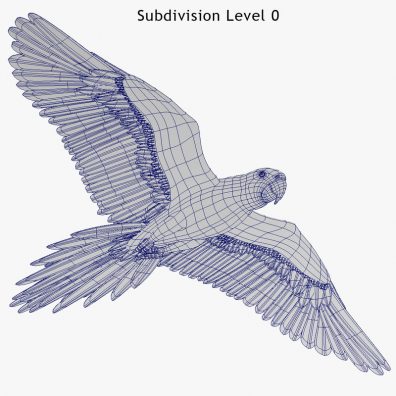 Buy MACAW (ANIMATED) 3D Models Online | Massimo Righi