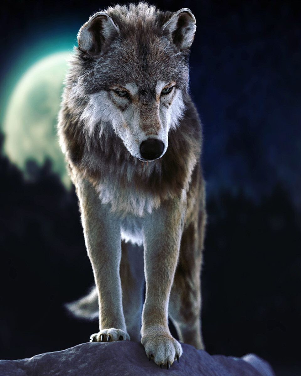 Wolf cliff - Massimo Righi