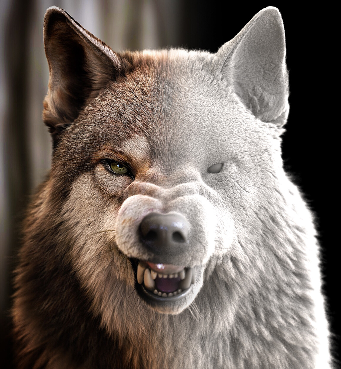 wolf snarl (front view) - Massimo Righi