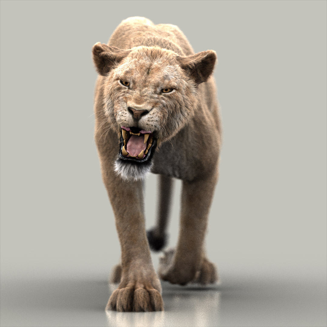 Buy LIONESS (2) (FUR) (ANIMATED) 3D Models Online | Massimo Righi