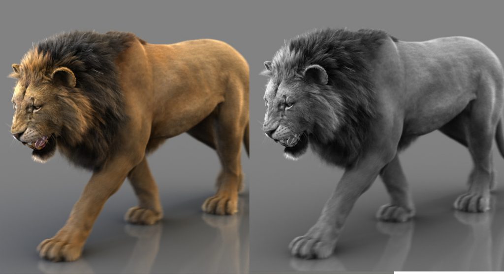 Buy LION & LIONESS BUNDLE (RIGGED) 3D Models Online