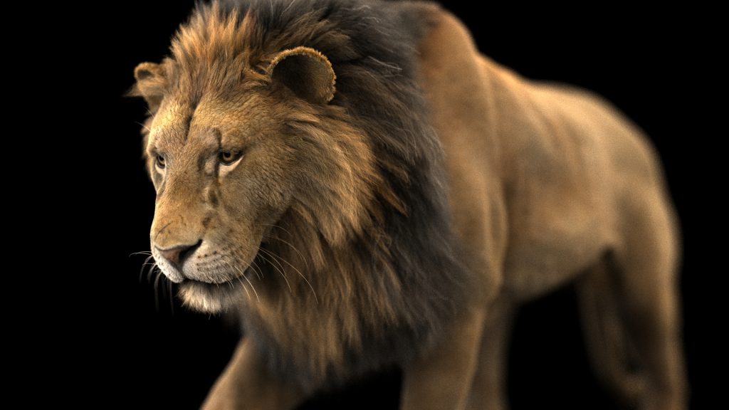 Buy Big Cat Rigs Collection Online | 3D Models Online | Massimorighi.com