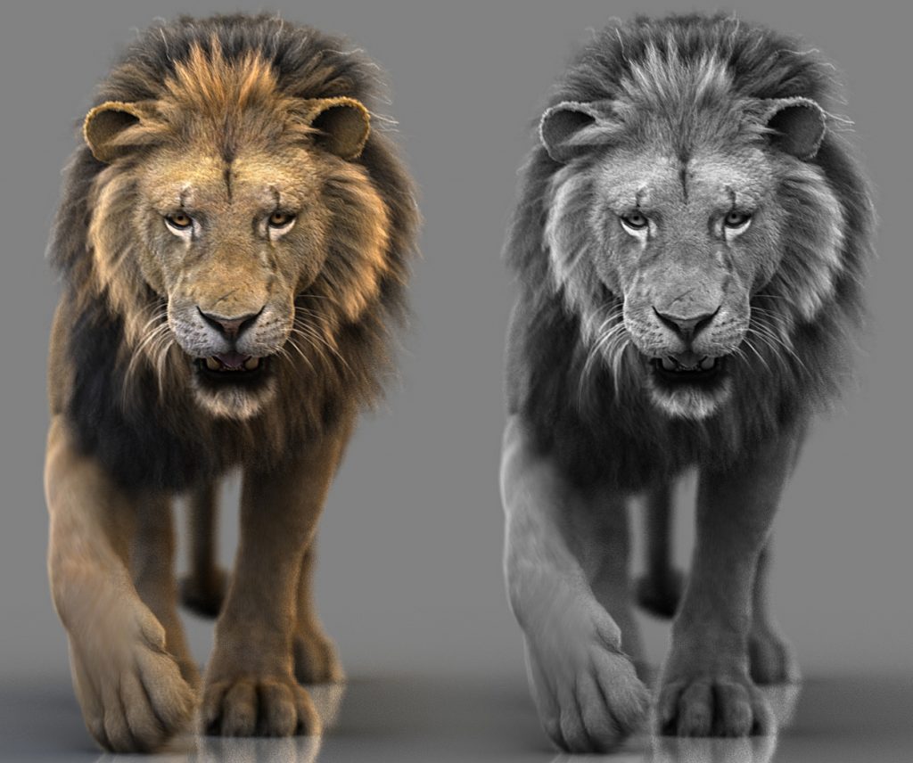 Buy Big Cat Rigs Collection Online | 3D Models Online | Massimorighi.com