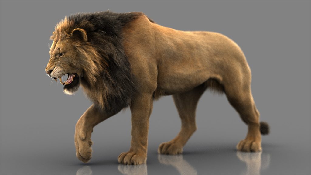 Buy LION (2) (FUR) (ANIMATED) 3D Models Online | Massimo Righi