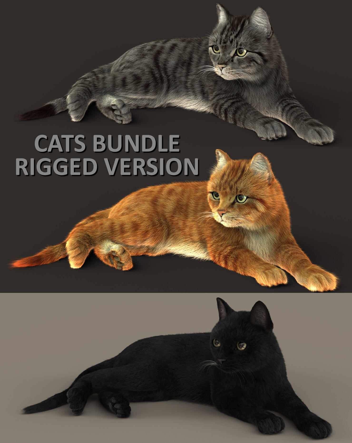 Buy CATS BUNDLE (FUR) (RIGGED) 3D Models Online | Massimo Righi