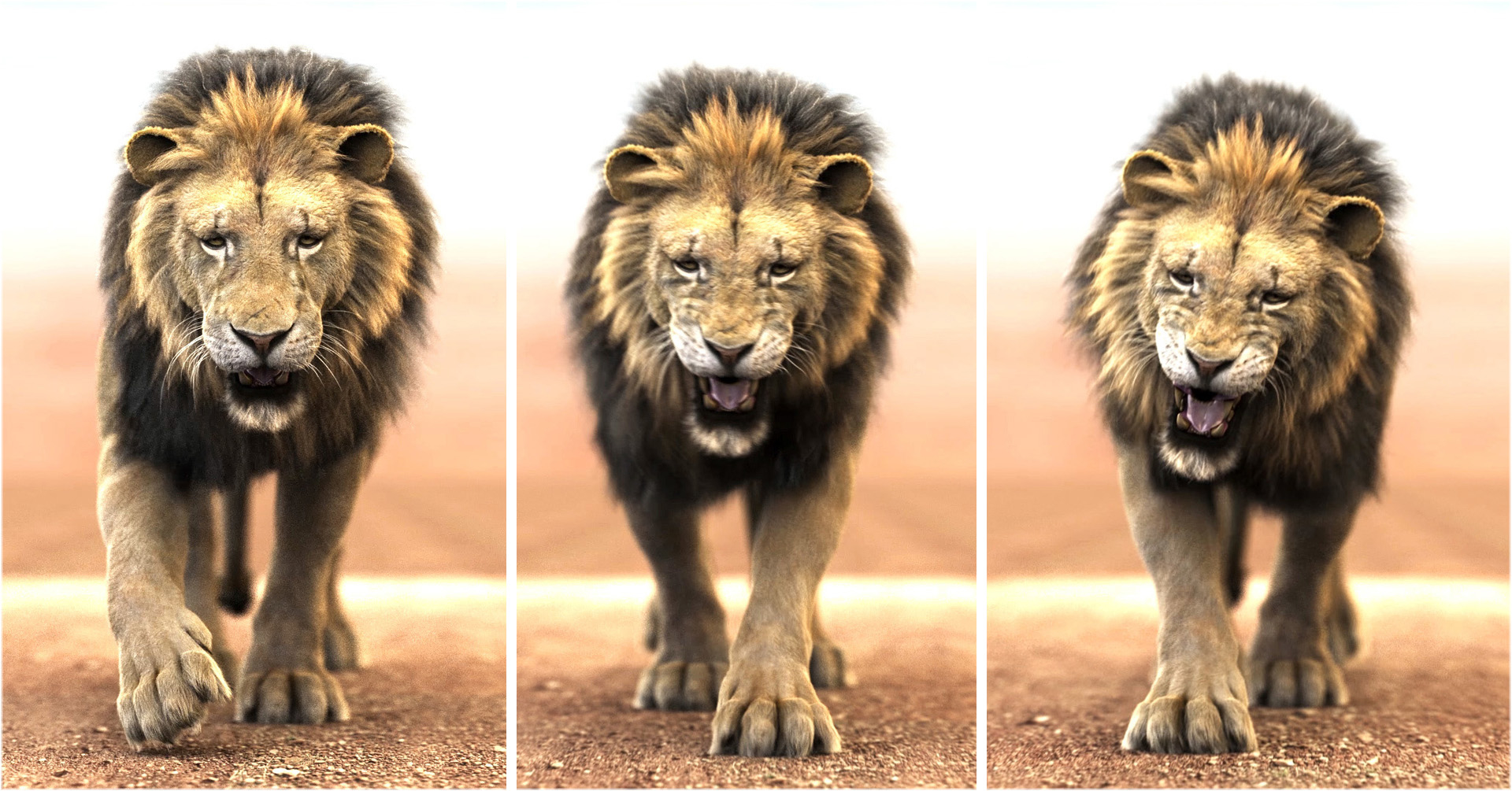 New lion project - walk cycle - Massimo Righi