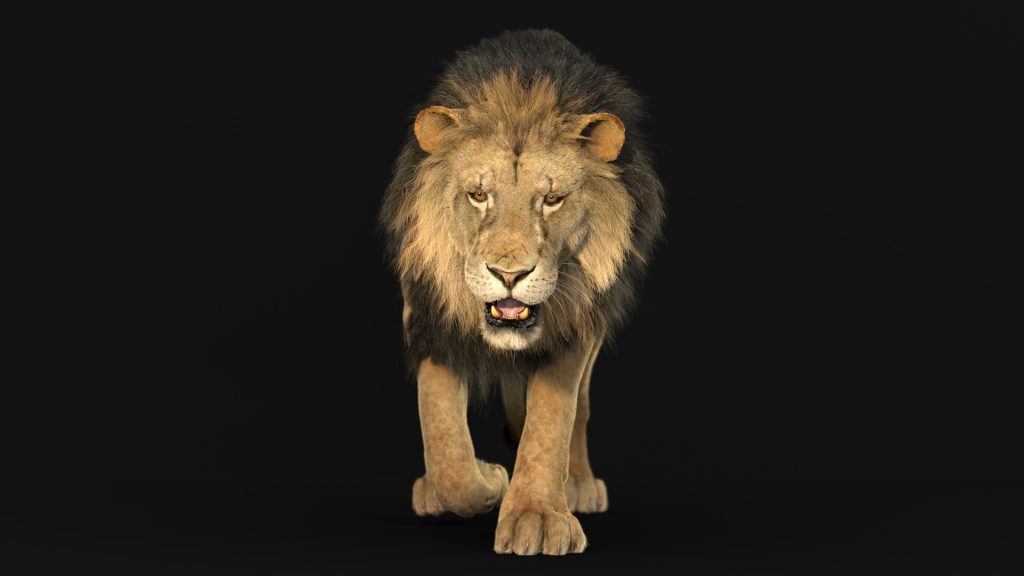 Buy Lion (RIGGED) RedShift Version - 3D Models Online | Massimo Righi