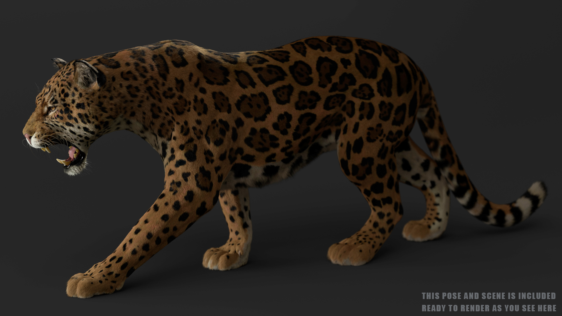 You are being redirected...