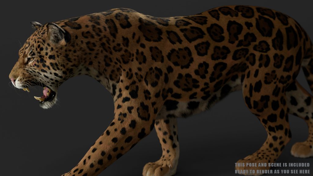 Jaguar (FUR) (RIGGED) (Maya2018 - Shave and a Haircut) - Massimo Righi