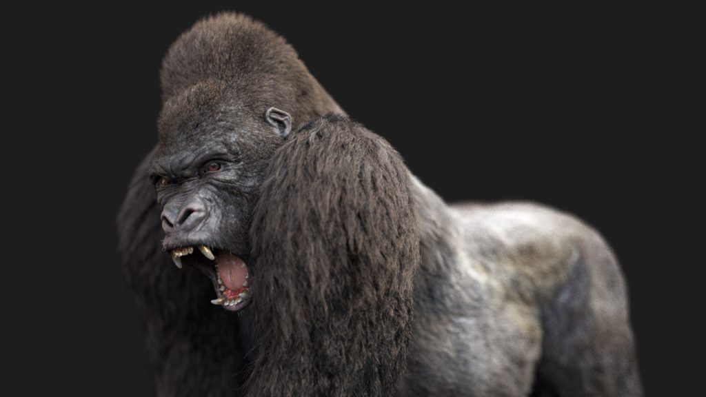 Buy Gorilla (RIG) Online | 3D Models Online | Massimorighi.com