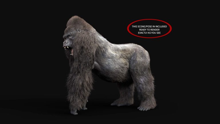 Buy Gorilla (RIG) Online | 3D Models Online | Massimorighi.com