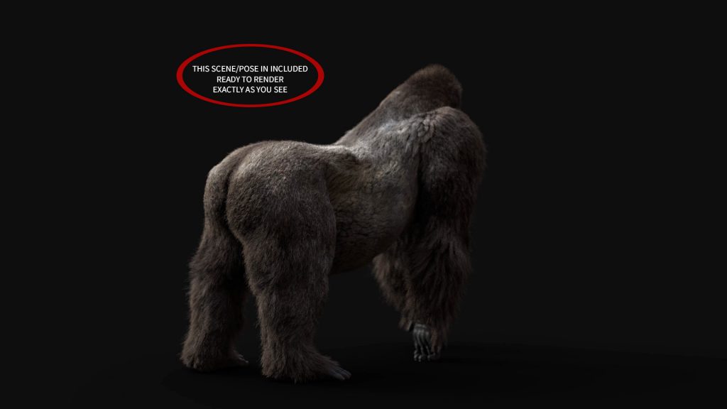 Buy Gorilla (RIG) Online | 3D Models Online | Massimorighi.com