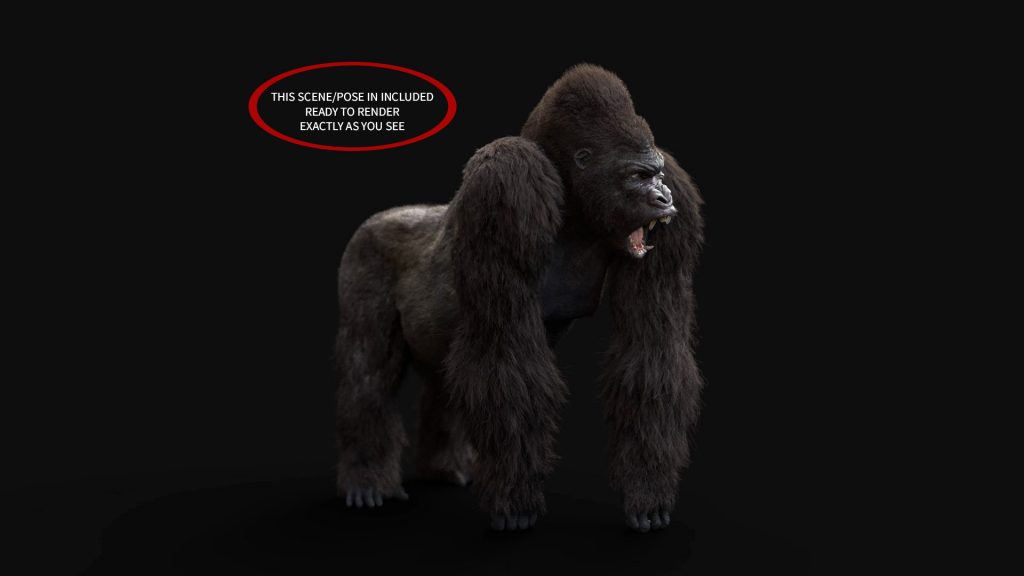 Buy Gorilla (RIG) Online | 3D Models Online | Massimorighi.com