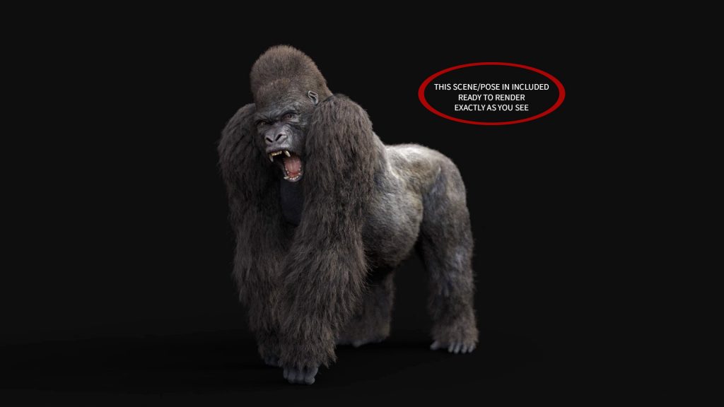 Buy Gorilla (RIG) Online | 3D Models Online | Massimorighi.com