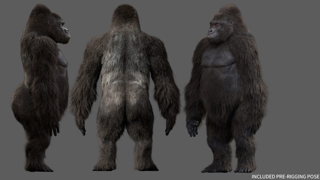 Buy Gorilla (RIG) Online | 3D Models Online | Massimorighi.com