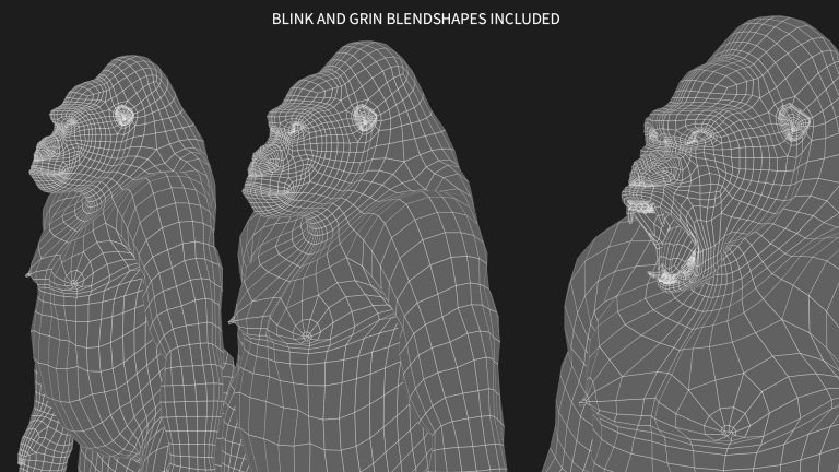 Buy Gorilla (RIG + Animations) Online | Massimorighi.com