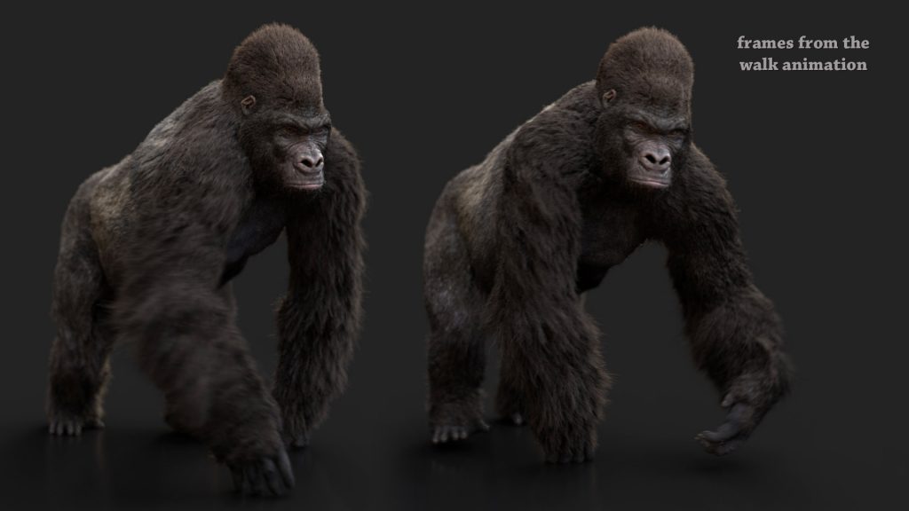 Buy Gorilla (RIG) Online | 3D Models Online | Massimorighi.com