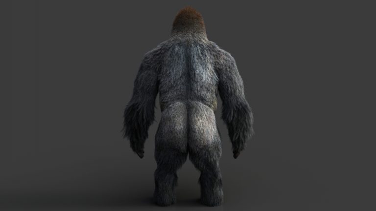Buy Gorilla (RIG) (XGEN-CORE) Online | Massimorighi.com