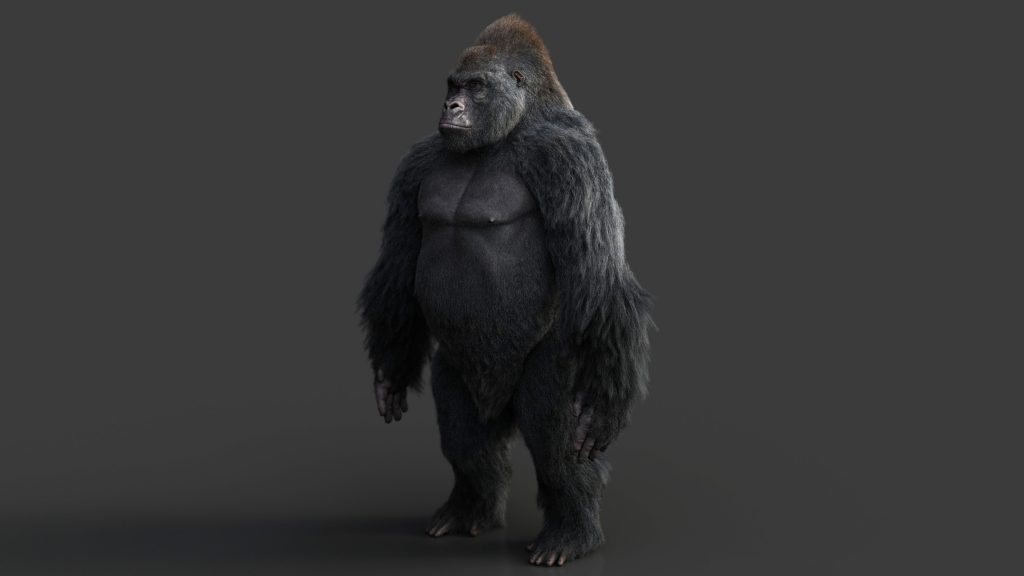 Buy Gorilla (RIG) (XGEN-CORE) Online | Massimorighi.com